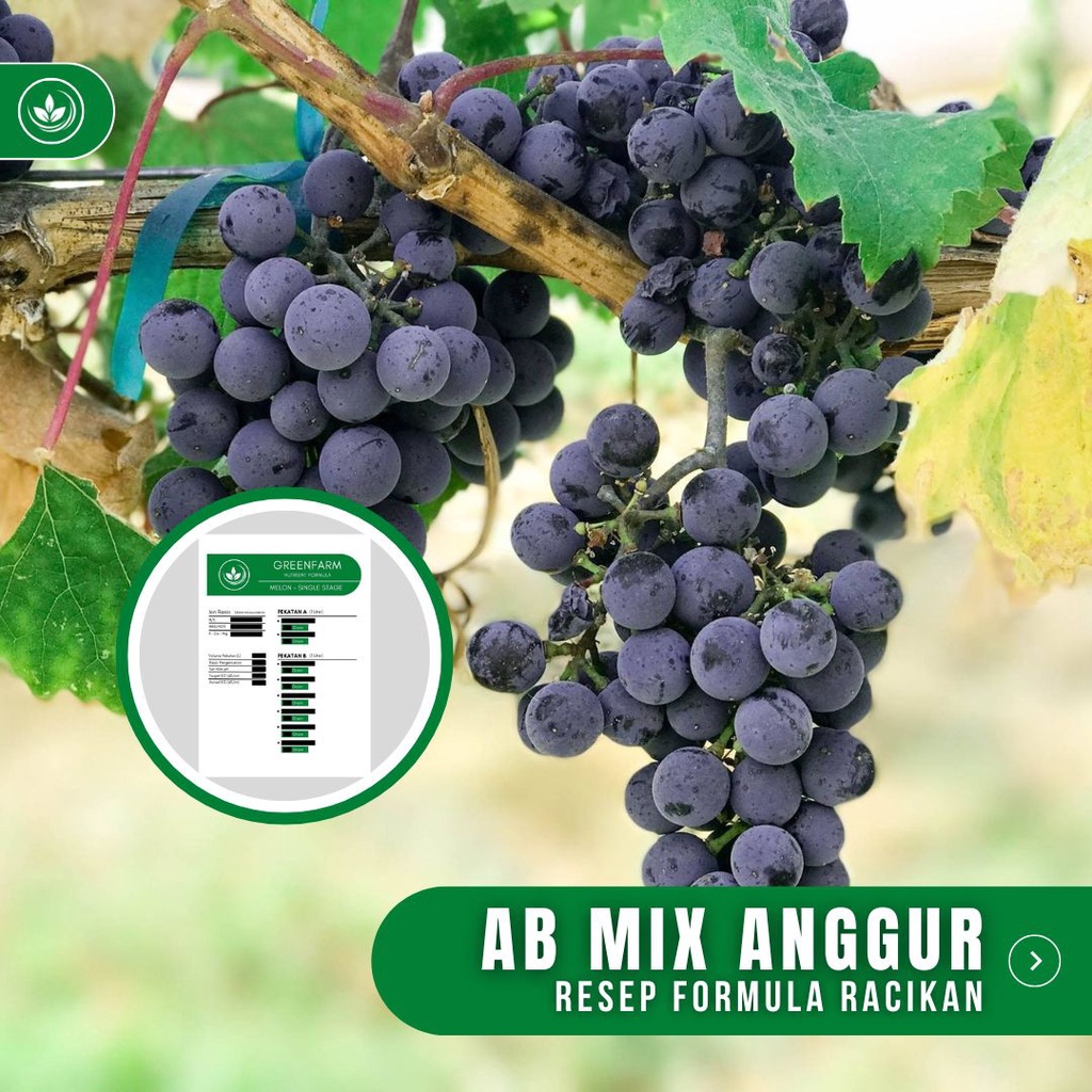 Jual Resep AB Mix Anggur Formula Racikan Nutrisi AB Mix Buah Anggur ...