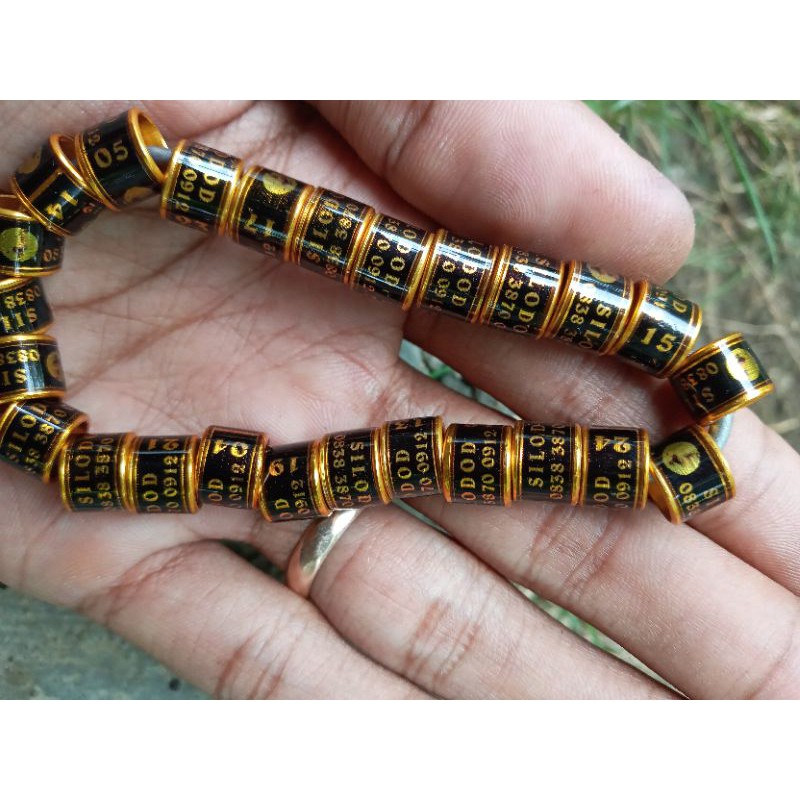 Jual Ring merpati model roda standar | Shopee Indonesia