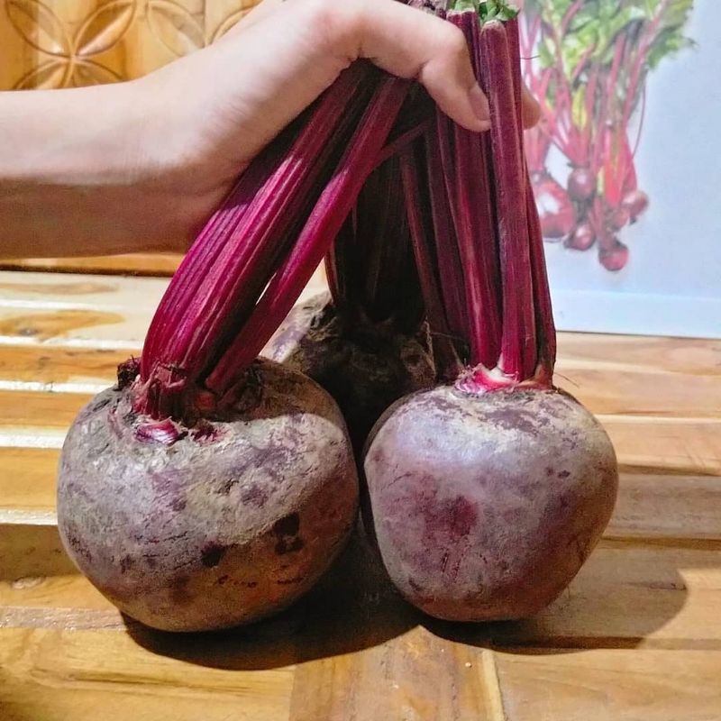 Jual Buah Bit / Beet Root 500 gram READY STOCK SIAP KIRIM | Shopee ...