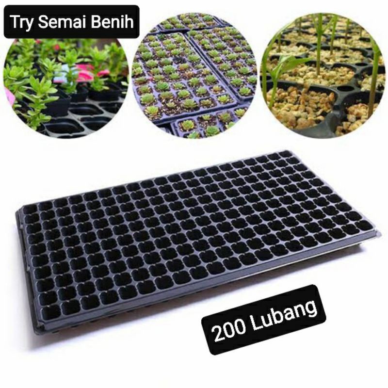 Jual Try Semai Benih Tanaman Size 200 Lubang | Shopee Indonesia