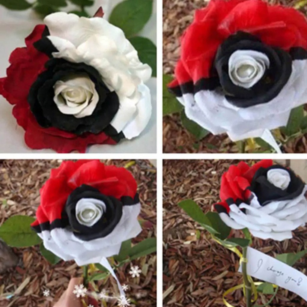 Jual Bibit Benih Biji Bunga Mawar Red White Black Import - Biji Tanaman ...