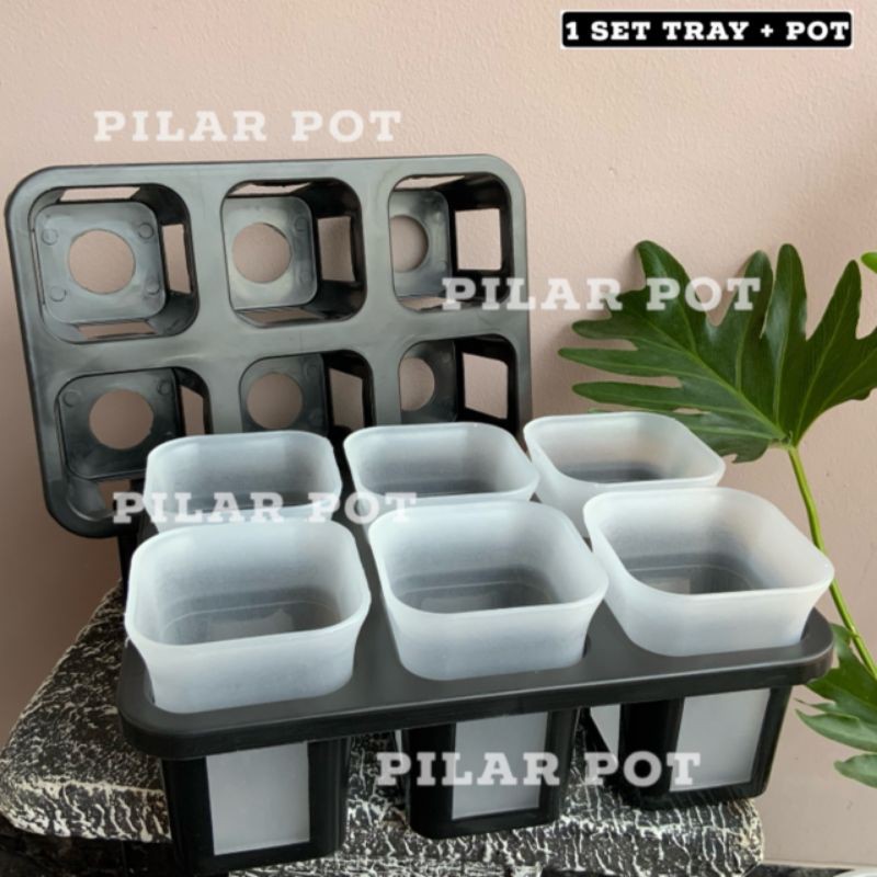 Jual 1 set Tray + pot nkt kotak 8 cm BENING TRANSPARAN | tray semai ...