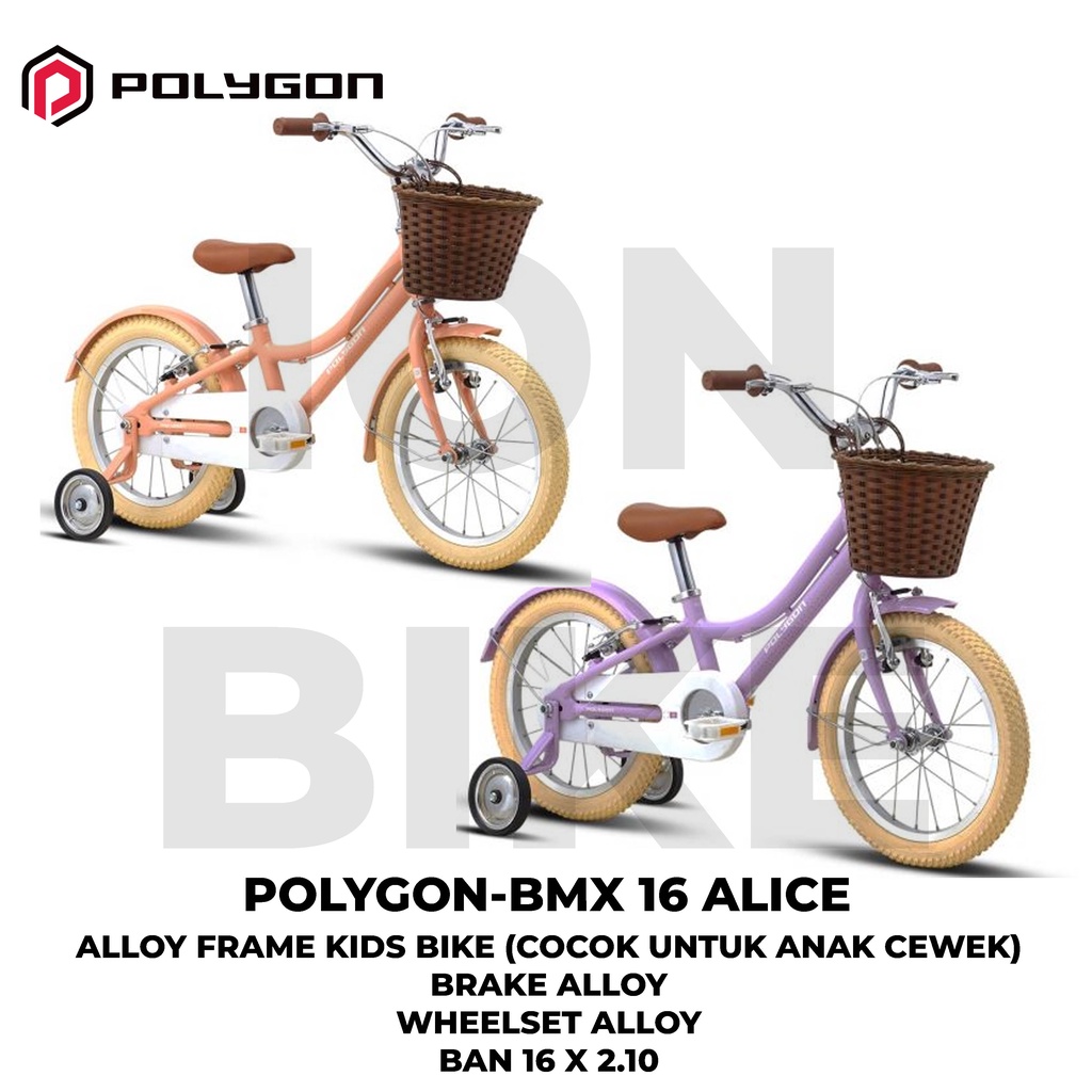 Jual Bmx 16 Polygon Alice Pink Purple Terbaru Sepeda Anak Cewek Alloy ...