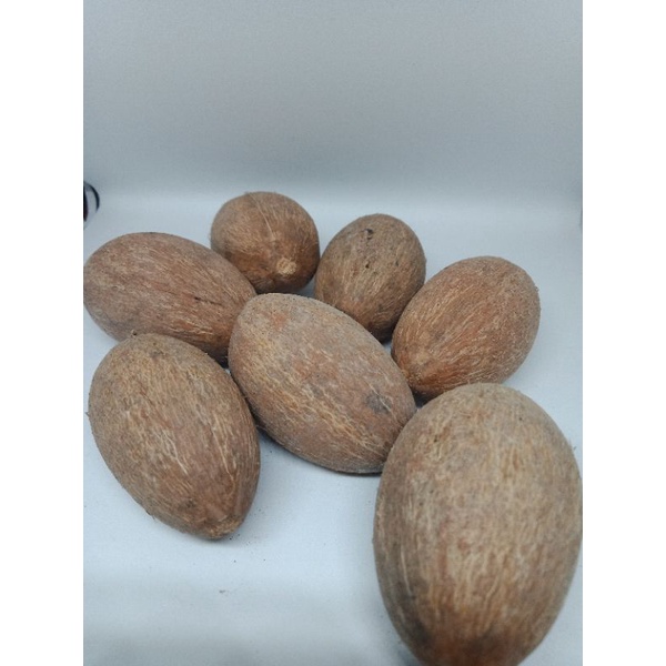 Jual Buah Bunut (BUAH KECIL) | Shopee Indonesia