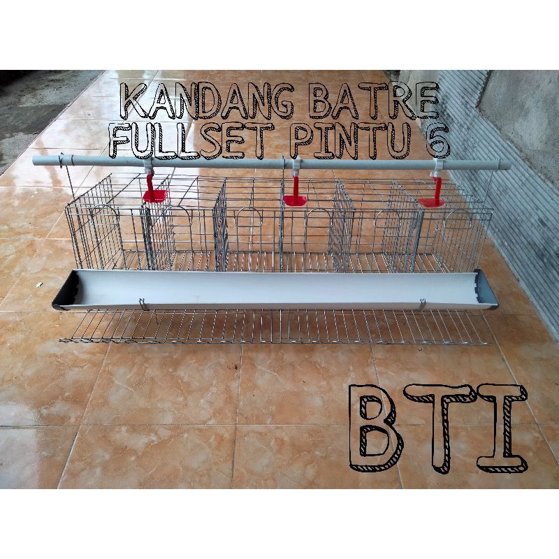 Jual KANDANG BATRE GALVANIS AYAM DAN BEBEK PETELUR FULL SET PINTU 6 ...