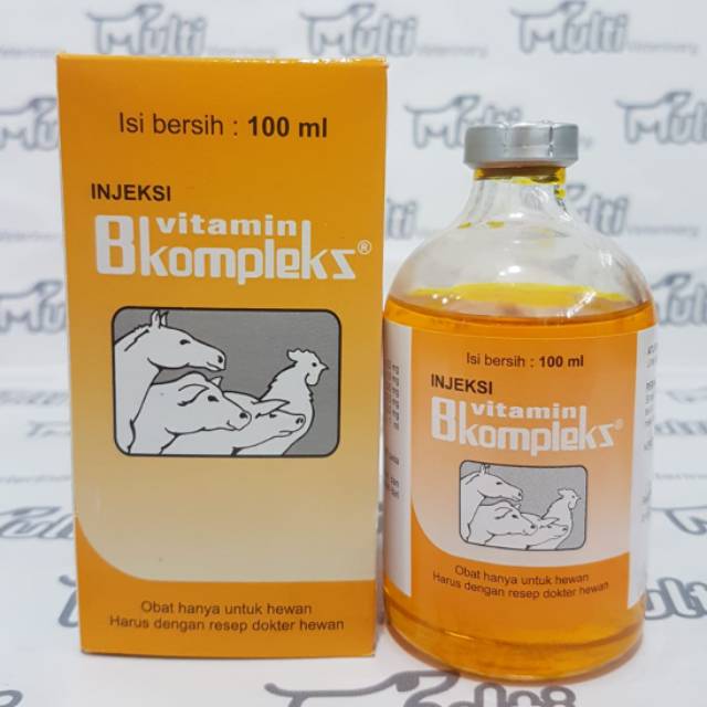 Jual VITAMIN B KOMPLEKS 100 ml MEDION Injek Vitamin Hewan | Shopee ...