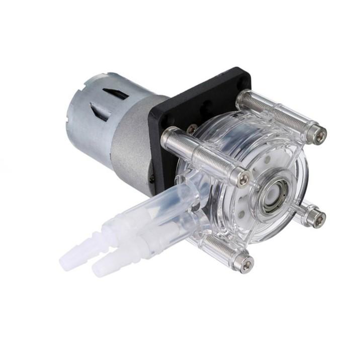 Jual Flash Dc 12/24V Peristaltic Pump Large Flow Dosing Pump Anti ...