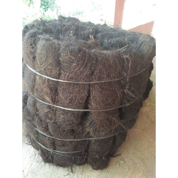 Jual IJUK AREN MEDIA FILTER KOLAM 500Gr-RESAPAN AIR-BAHAN KERAJINAN ...