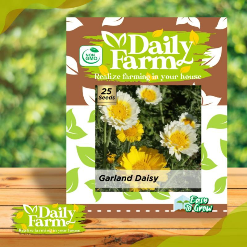 Jual Benih Bunga Garland Daisy - Daily Farm | Shopee Indonesia