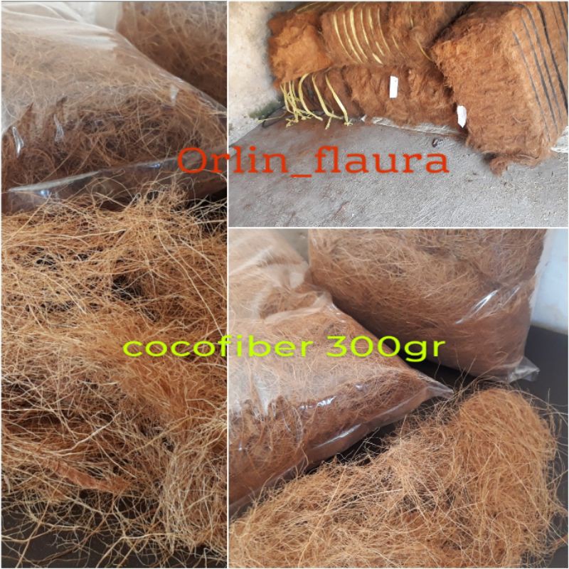 Jual Coco Fiber ( Sabut Kelapa olahan mesin dan di cuci bersih jadi ...