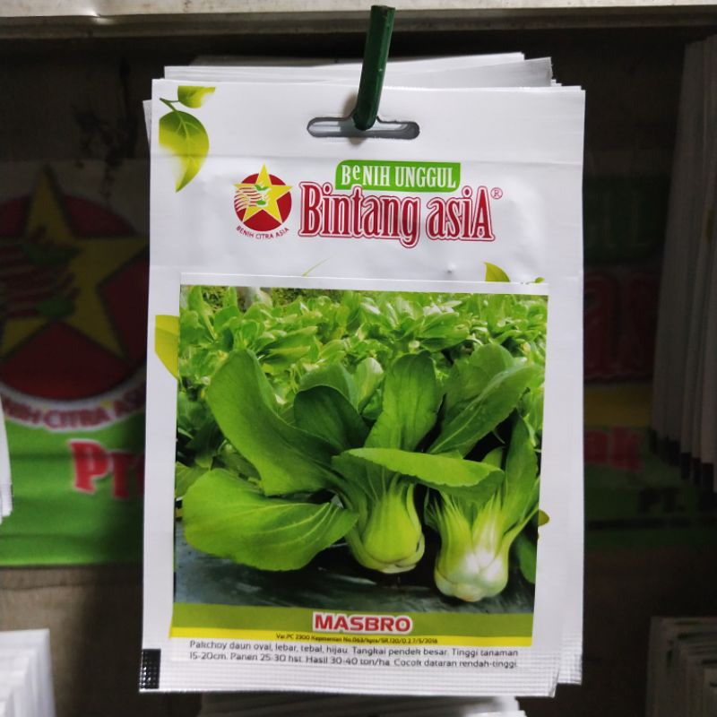 Jual Benih sayur pakchoy / sawi botol | Shopee Indonesia