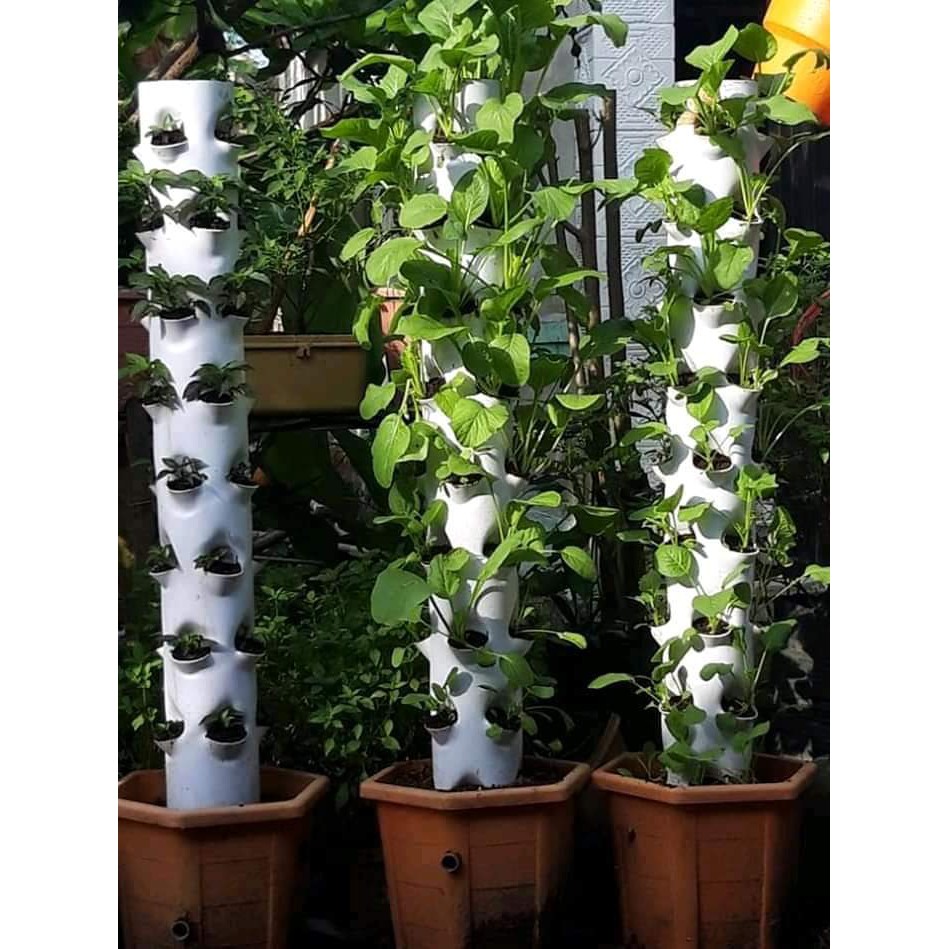 Jual POT TANAMAN VERTIKAL VERTIKULTUR 4 INCH 16 LUBANG 80CM MEDIA TANAH ...