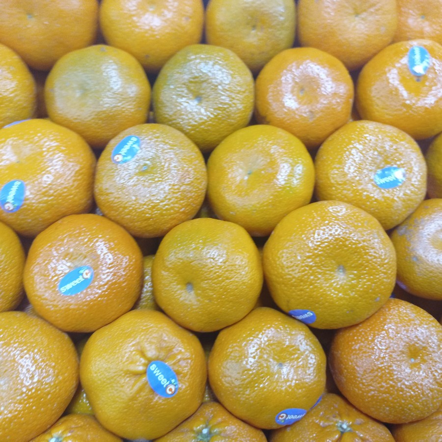 Jual Jeruk Nadorcot sweet Afrika Asli 1 kg | Shopee Indonesia