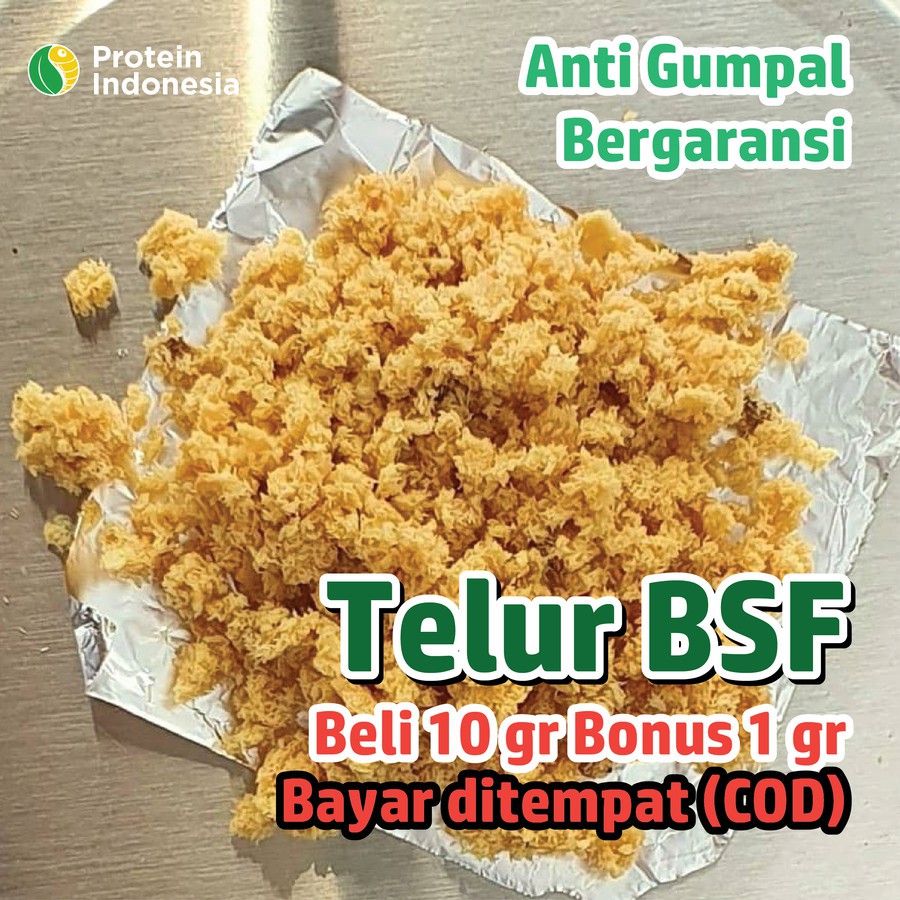 Jual Telur maggot BSF dari pupa kualitas super (1 gram) | Shopee Indonesia