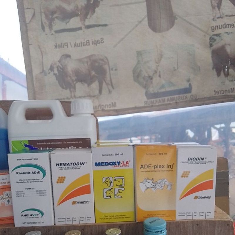 Jual obat suntik sapi | Shopee Indonesia