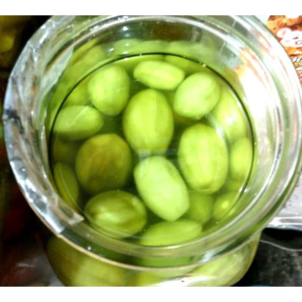 Jual Manisan Dondong Basah 1/4kg | Shopee Indonesia