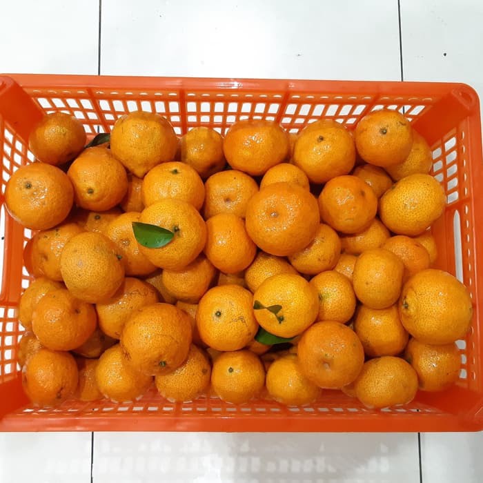 Jual Buah Jeruk Shantang Daun GA ADA BIJI MANIS BANGET 7kg Santang ...