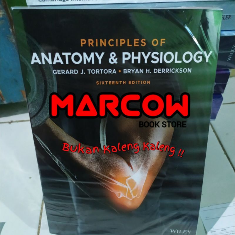 Jual Principles of Anatomy and Physiology 16th Edition by Gerald ...