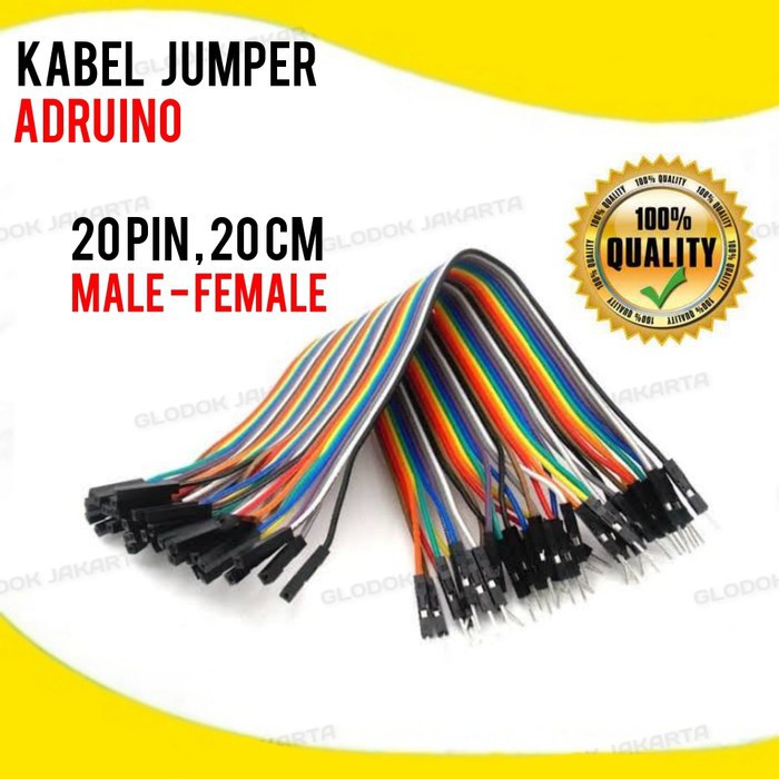 Jual Kabel Jumper Male Female 20Pin 20cm Arduino | Shopee Indonesia