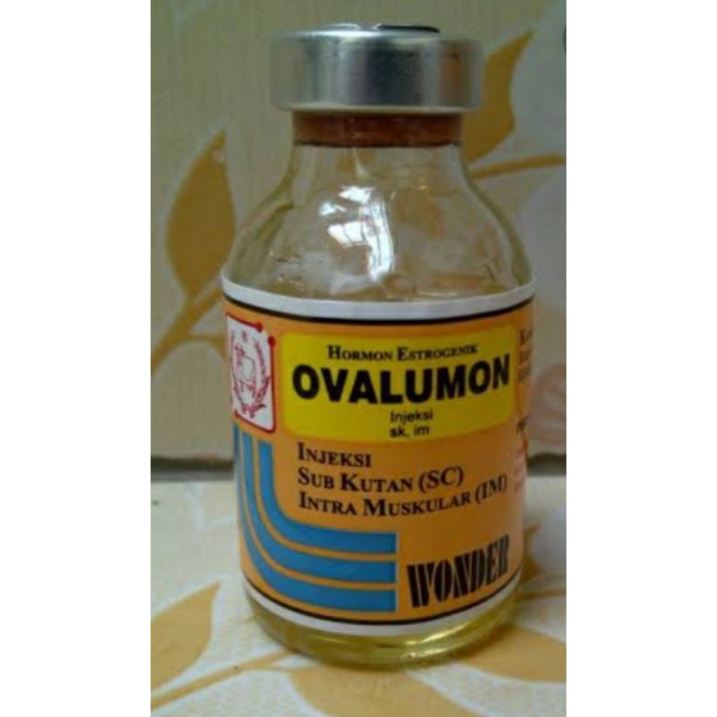 Jual ovalumon 20ml | Shopee Indonesia