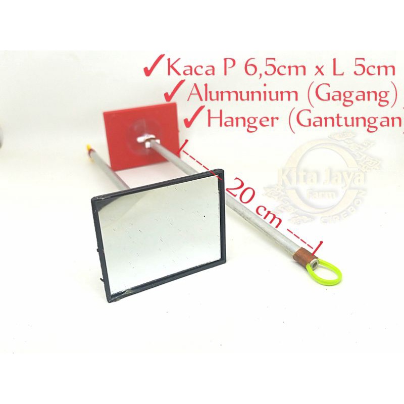 Jual Stick Kaca Cermin Stainless Latih Mental Ikan dan Flaring ikan ...