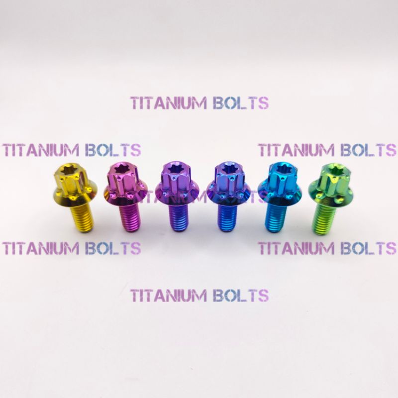 Jual Baut Titanium Bolts Salaya GR5 M6x10 M6X15 Original | Shopee Indonesia