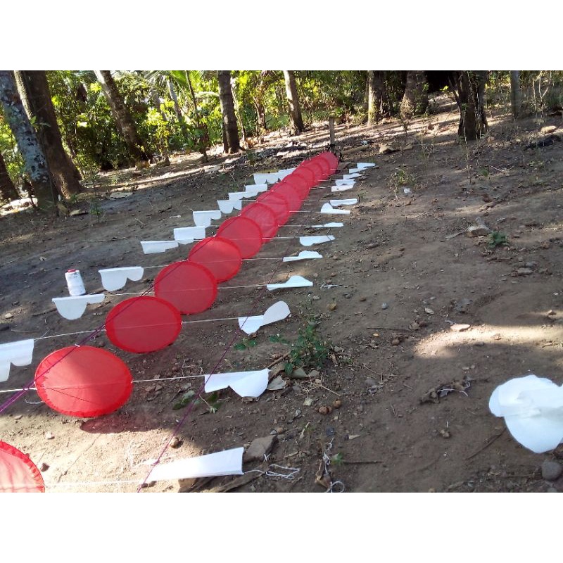 Jual Layangan Naga mini Siap Terbang | Shopee Indonesia