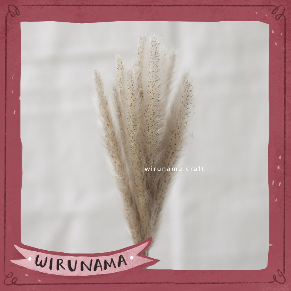 Jual BUNGA KERING ILALANG DRIED FLOWER UNTUK DEKORASI RUMAH RUSTIC ...
