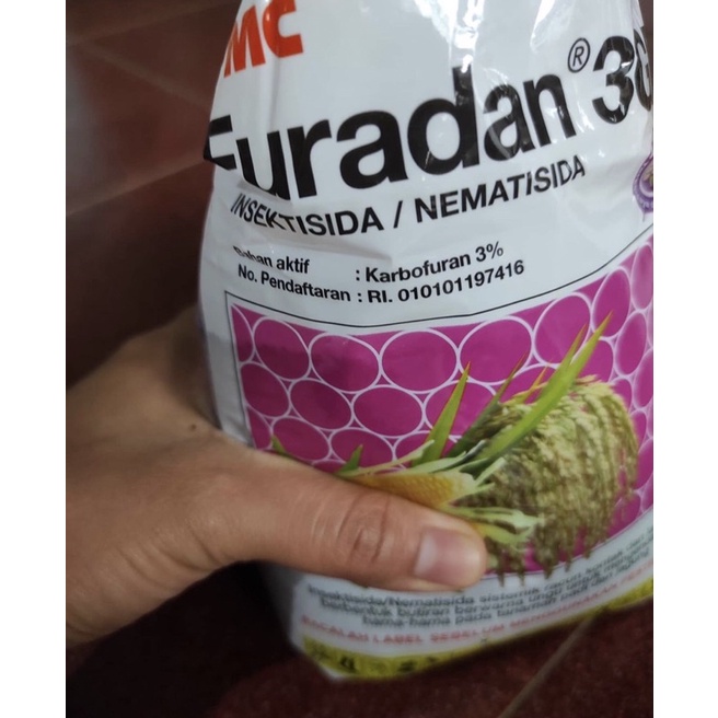 Jual INSEKTISIDA NEMATISIDA FURADAN 3GR 1 KG ORIGINAL PACK | Shopee ...