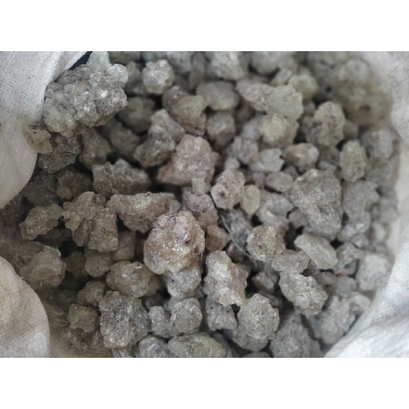 Jual 1kg Getah/Myrrh/Resin Damar Mata Kucing Asli Lampung | Shopee ...