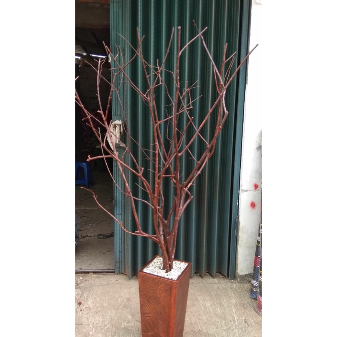 Jual ranting bunga hias/ | Shopee Indonesia