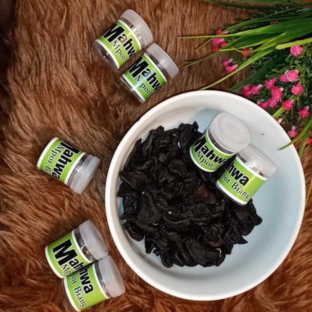 Jual Mpot biang mahwa | Shopee Indonesia