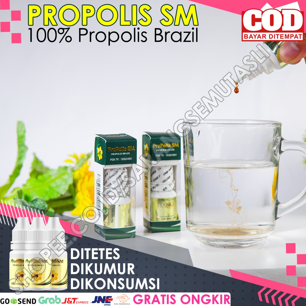 Jual Obat Telinga Atau Kuping Keluar Cairan Kuning Bernanah Berbau ...