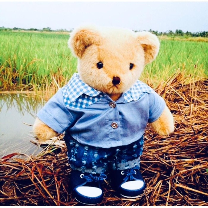 Jual TEDDY HOUSE BONEKA TEDDY BEAR TAMBO BEAR 10 INCH | Shopee Indonesia