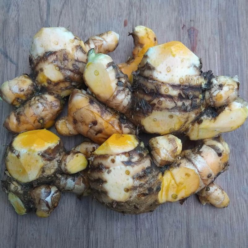 Jual Rimpang Temu Lawak Segar (1 Kg) | Shopee Indonesia