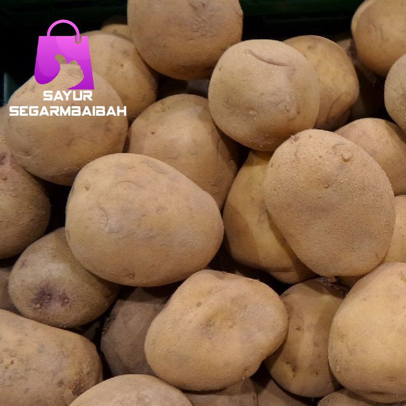 Jual kentang segar/sayursegar | Shopee Indonesia