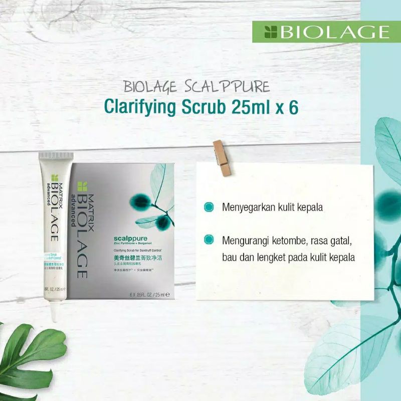 Jual MATRIX SCALPPURE CLARIFYING SCRUB (SCRUB KULIT KEPALA) | Shopee ...