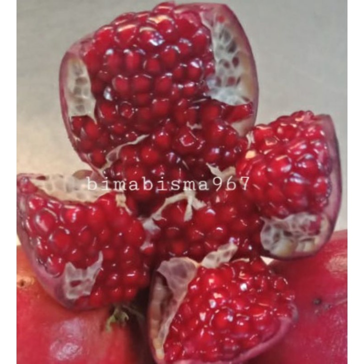 Jual buah delima merah besar 1kg | Shopee Indonesia