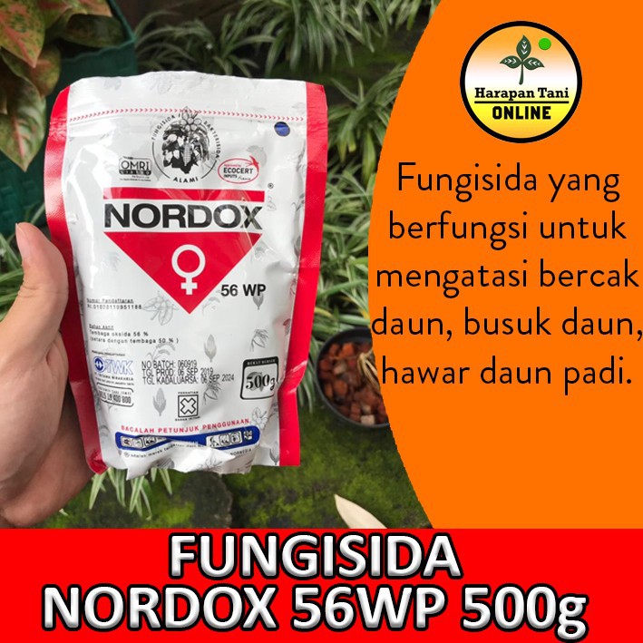 Jual Nordox 56WP 500g | Nordox 56WP 100g | Tembaga oksida | Fungisida ...