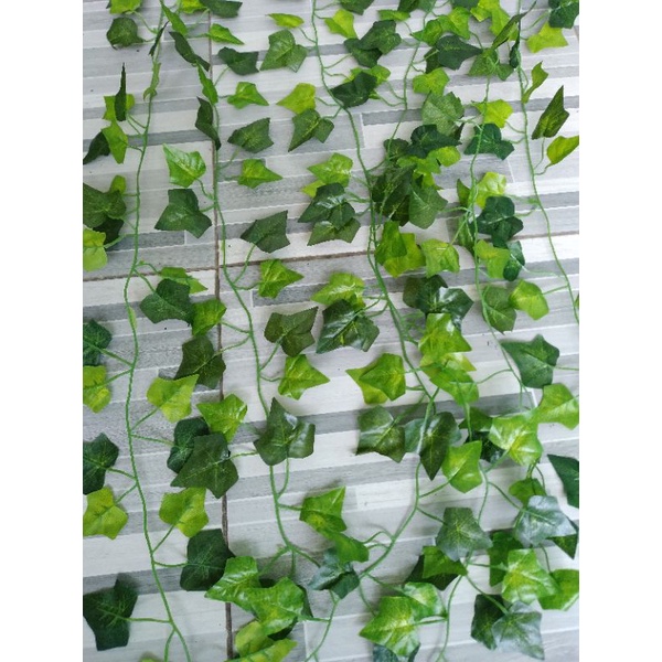 Jual daun rambat artificial, perbatang 200cm. tanaman plastik murah ...