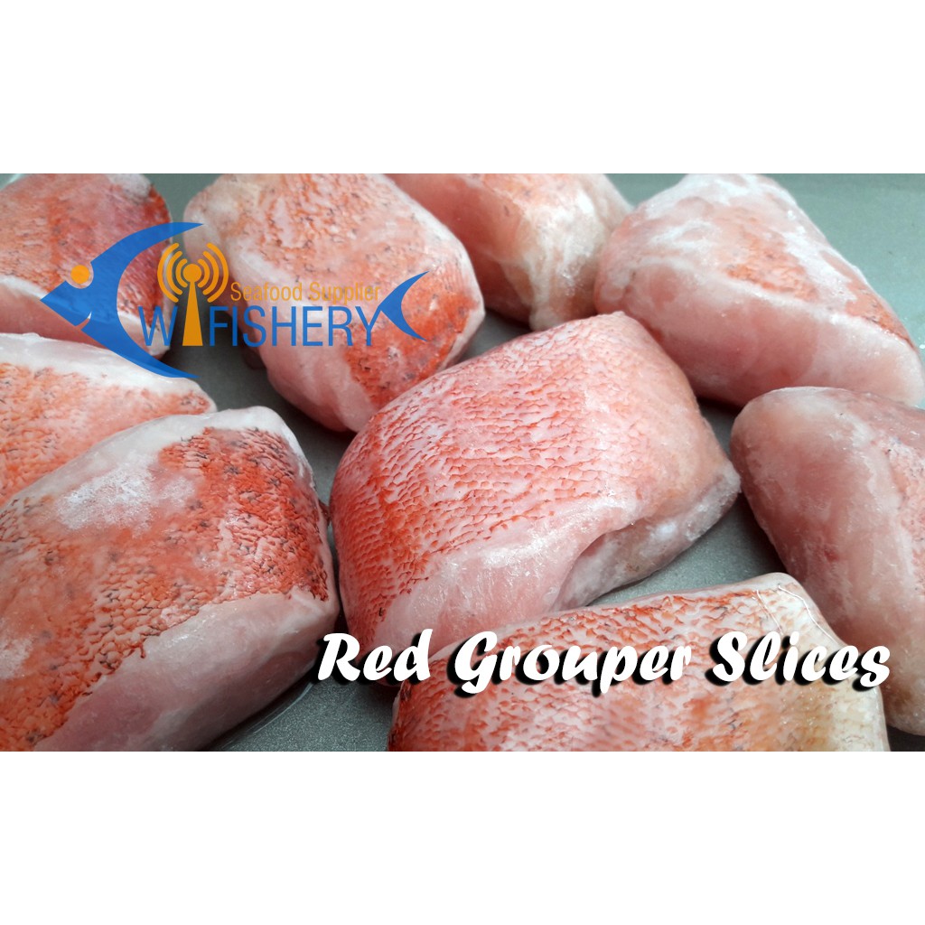 Jual Kerapu Merah Potongan Goreng - Red Grouper Slices | Shopee Indonesia