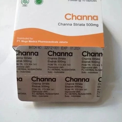 Jual CHANNA CAP 30S {Per Strip} M | Shopee Indonesia