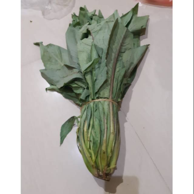 Jual SAYUR FUMAK 1 KG | Shopee Indonesia