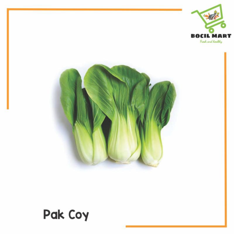 Jual [BOCIL MART] PAK COY / SAWI DAGING / PAKCOY / POKCOY 250GR ...