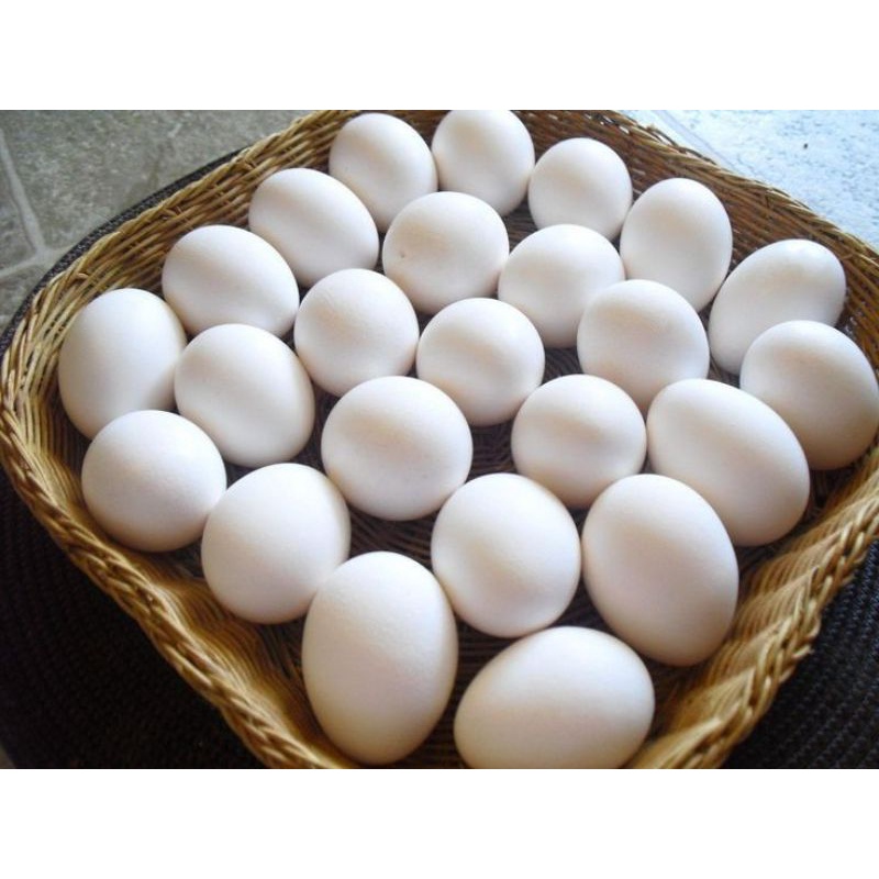 Jual Telur ayam kampung 1 pcs | Shopee Indonesia