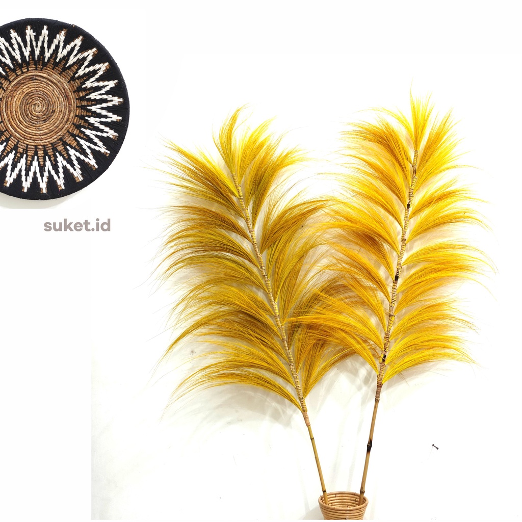 Jual PAMPAS RAYUNG STIK DEKORASI (Rayung Stick) home decor/ Rayung ...