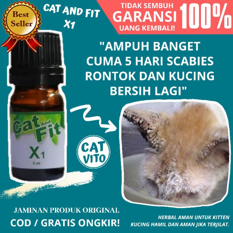Jual OBAT SCABIES KUCING / OBAT JAMUR KERAK KUCING SCABIES CAT AND FIT ...