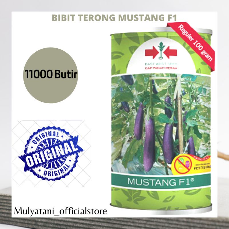 Jual Bibit Benih Terong Ungu Mustang F1 Isi 11000 Butir Cap Panah Merah | Shopee Indonesia