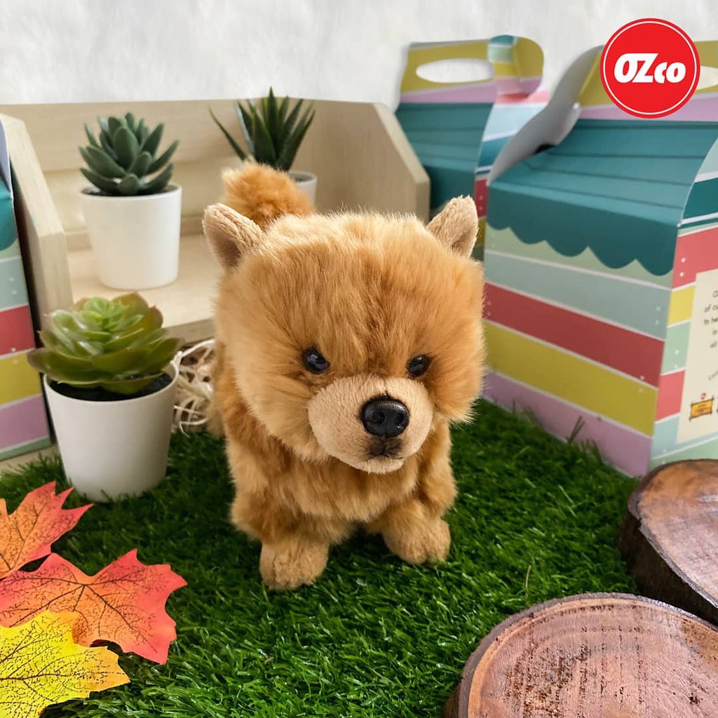 Jual Boneka Hewan Anjing Chow Chow Original OZco SOZ099 | Shopee Indonesia