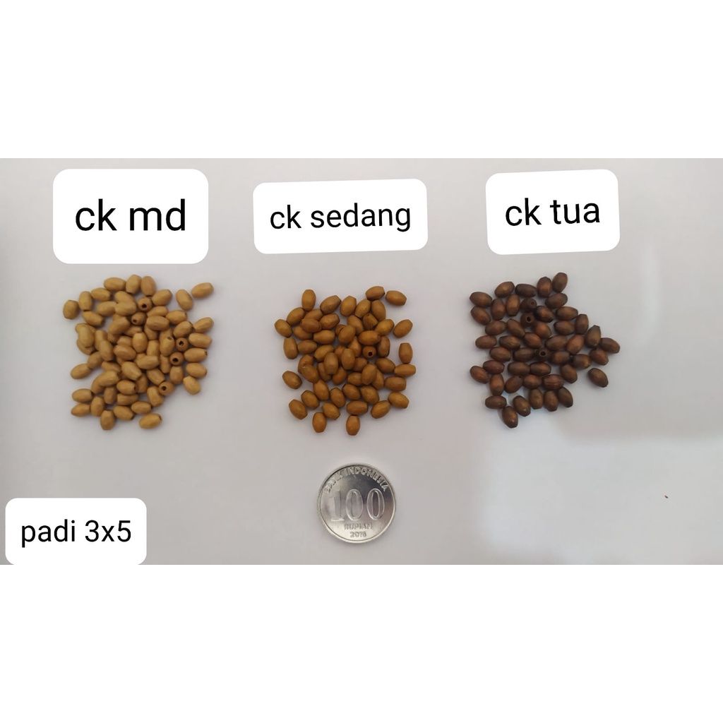 Jual Manik Makram / Macrame Kayu Padi / Oval 3x5, 100 gr | Shopee Indonesia